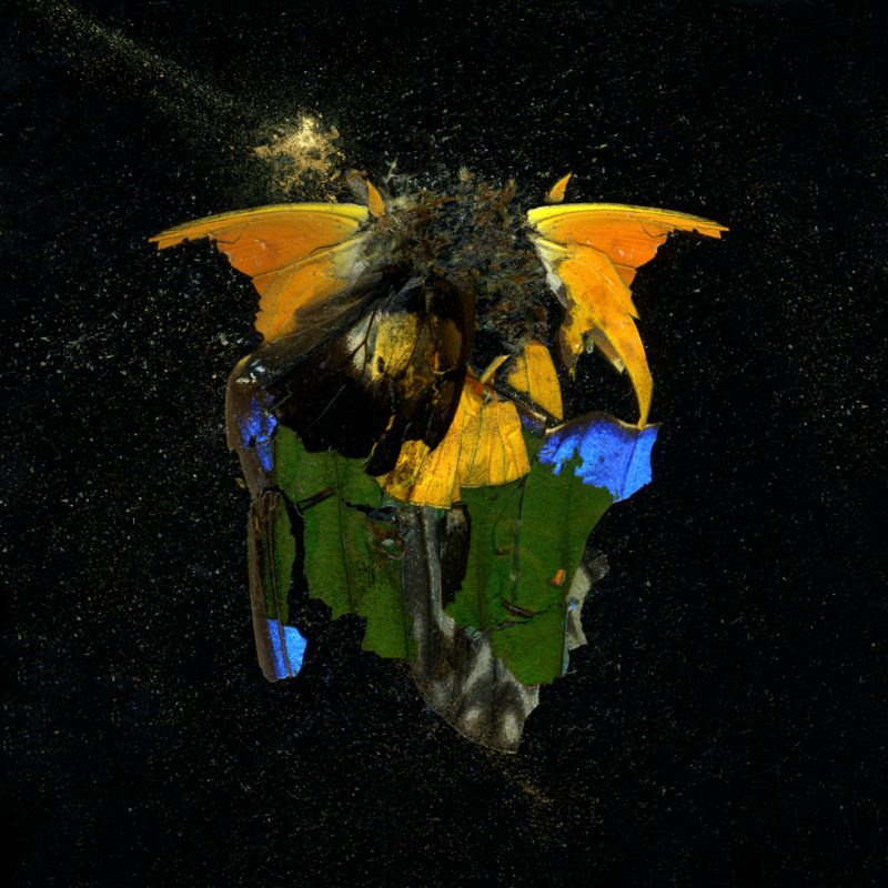 Insecticide Mat Collishaw