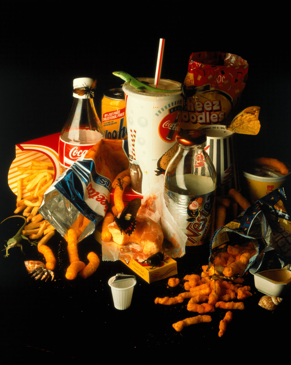 Natura Morte · Mat Collishaw