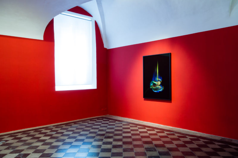 Mat Collishaw · Mat Collishaw