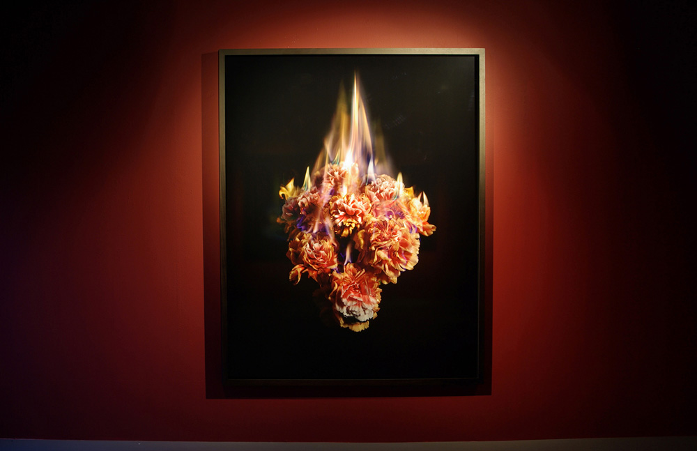 Mat Collishaw at Patricia Low Contemporary · Mat Collishaw