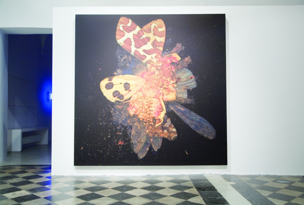 Nebulaphobia · Mat Collishaw