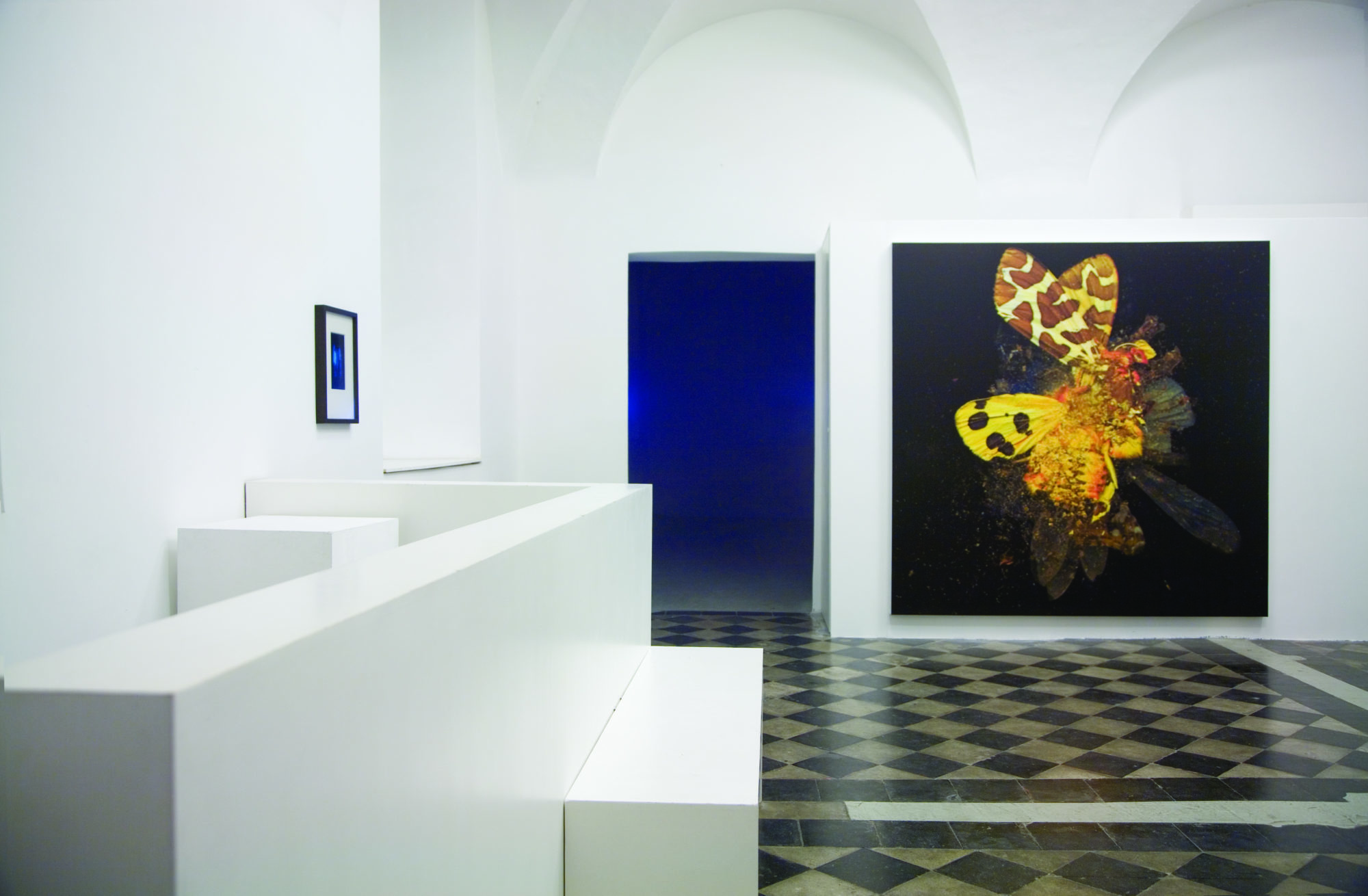 Nebulaphobia · Mat Collishaw