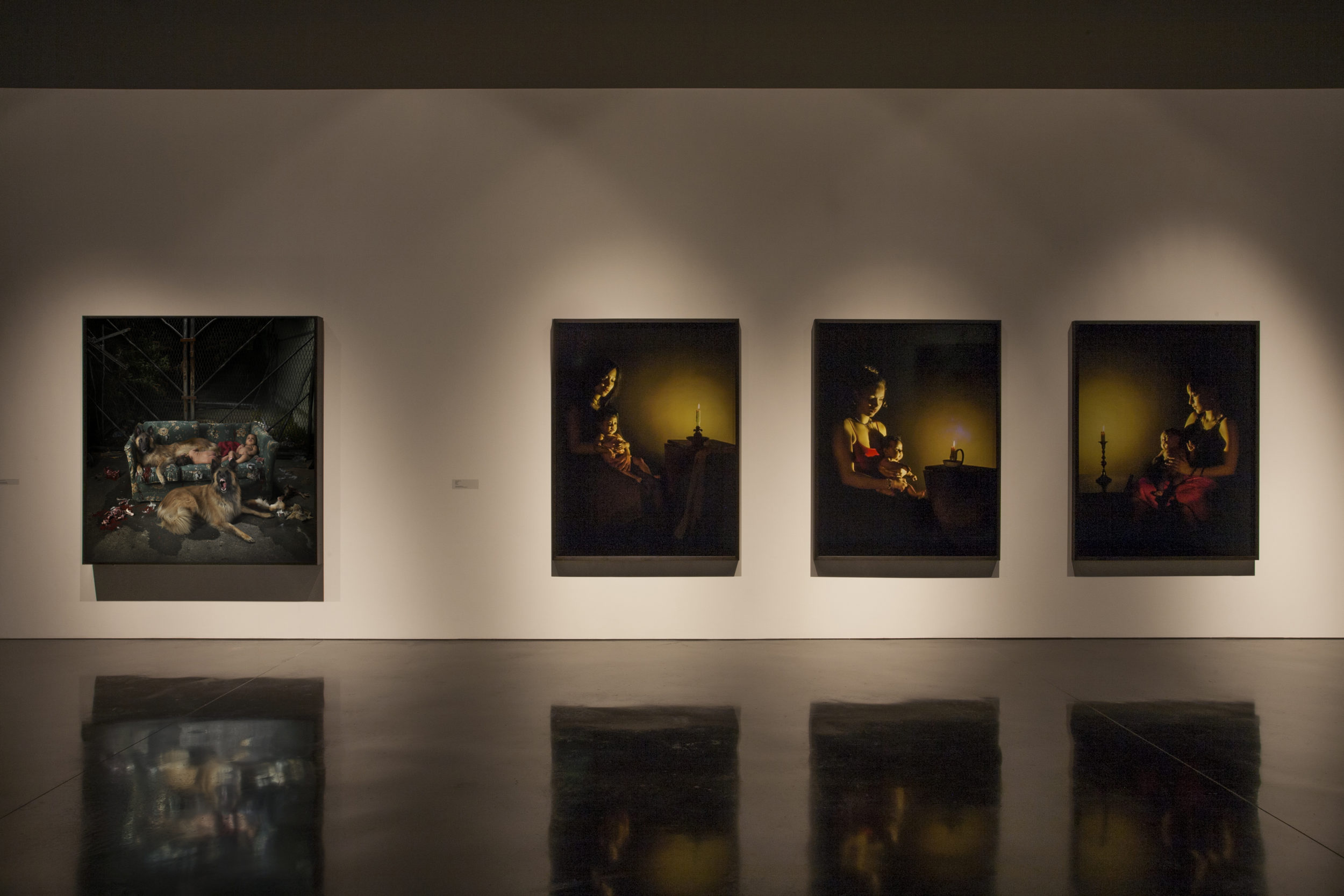 Mat Collishaw, New Art Gallery Walsall · Mat Collishaw
