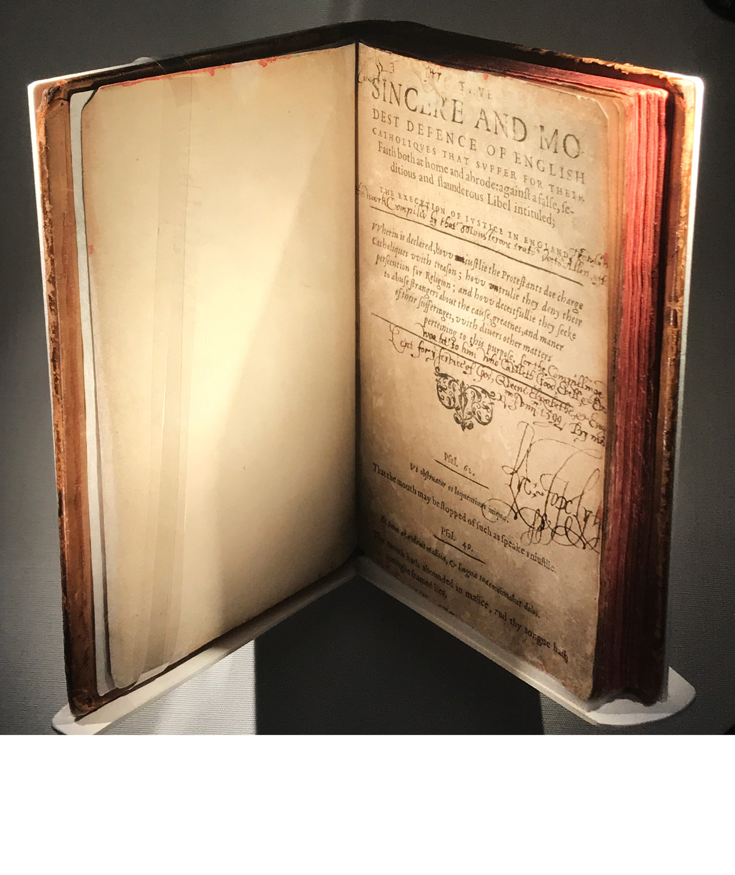 The Nerve Rack · Mat Collishaw