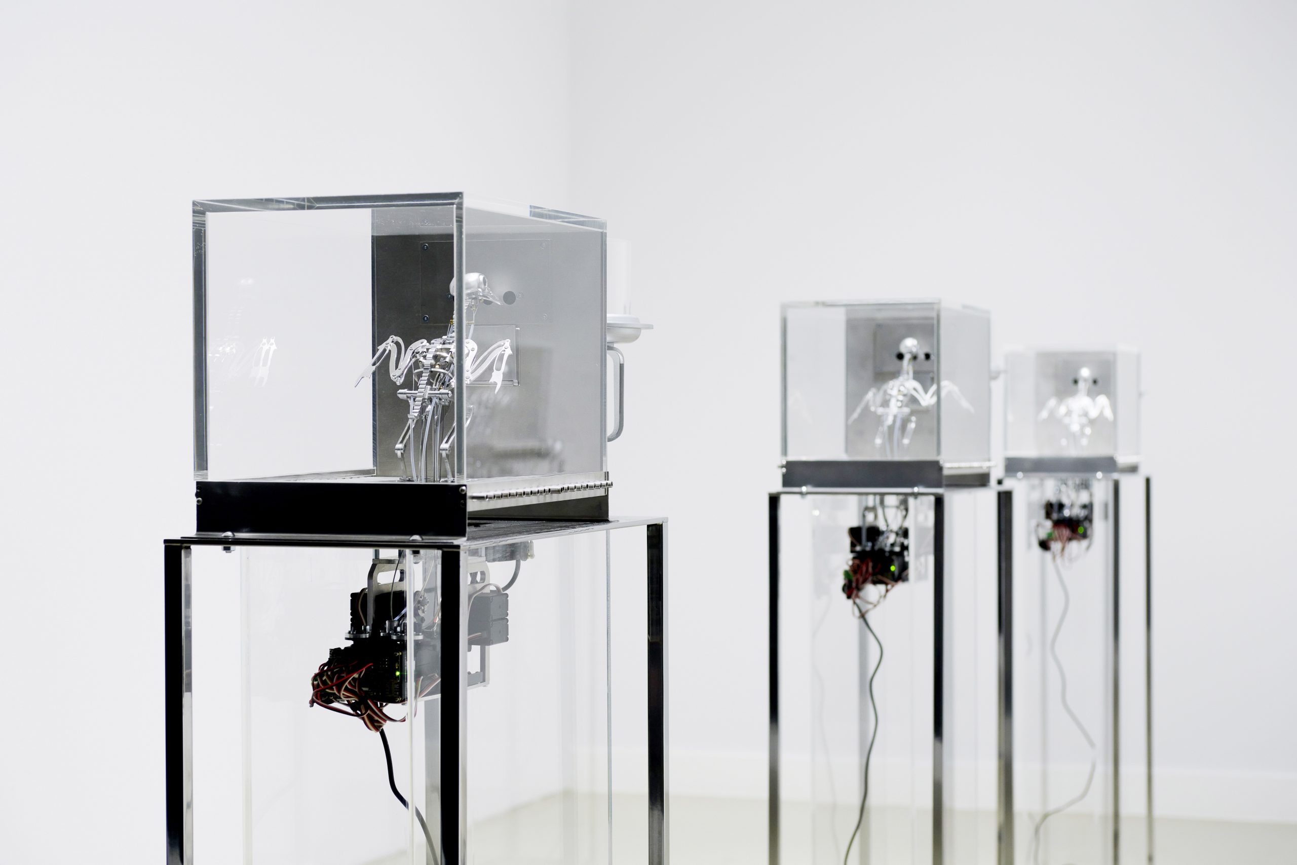 The Machine Zone · Mat Collishaw
