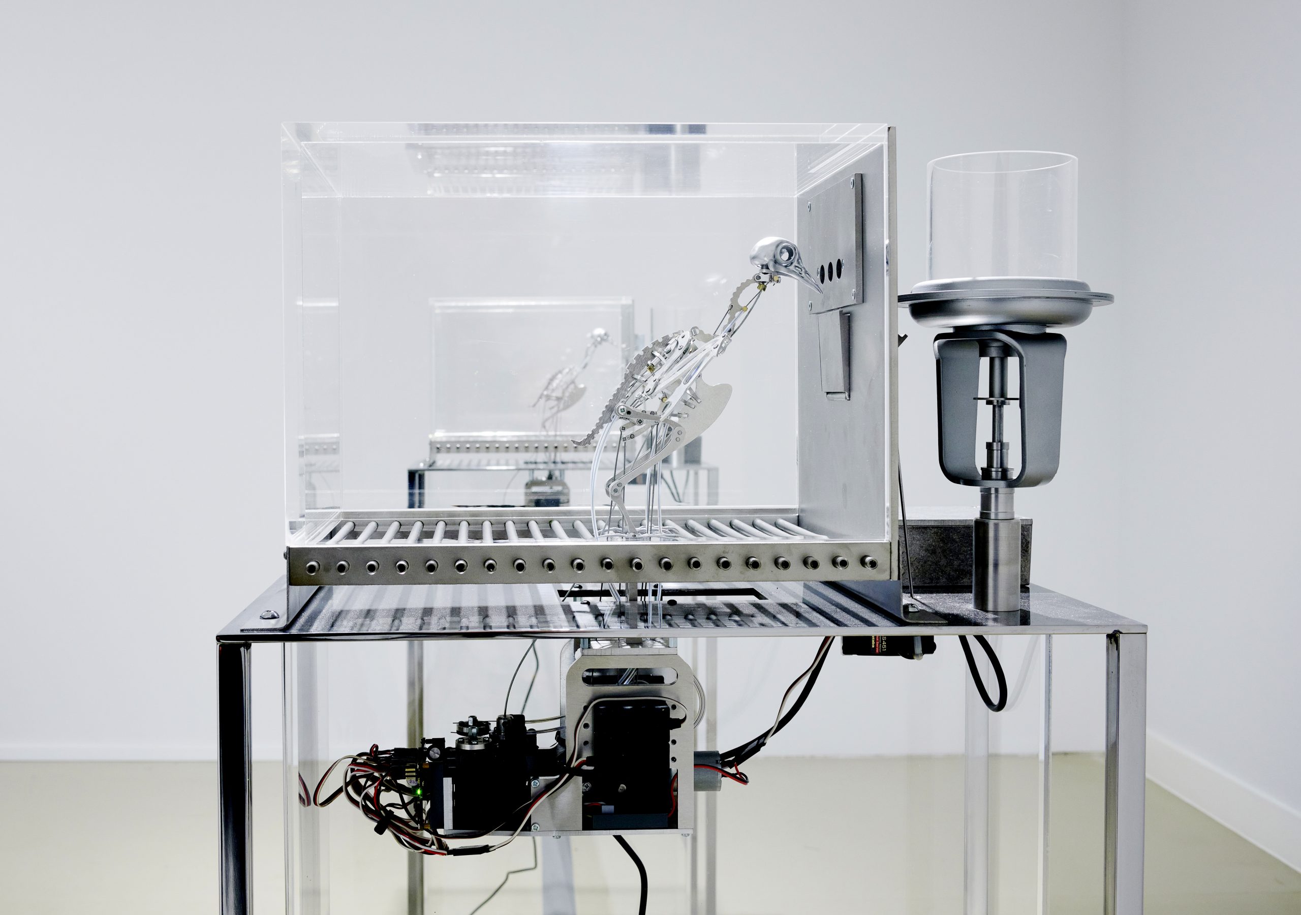 The Machine Zone · Mat Collishaw