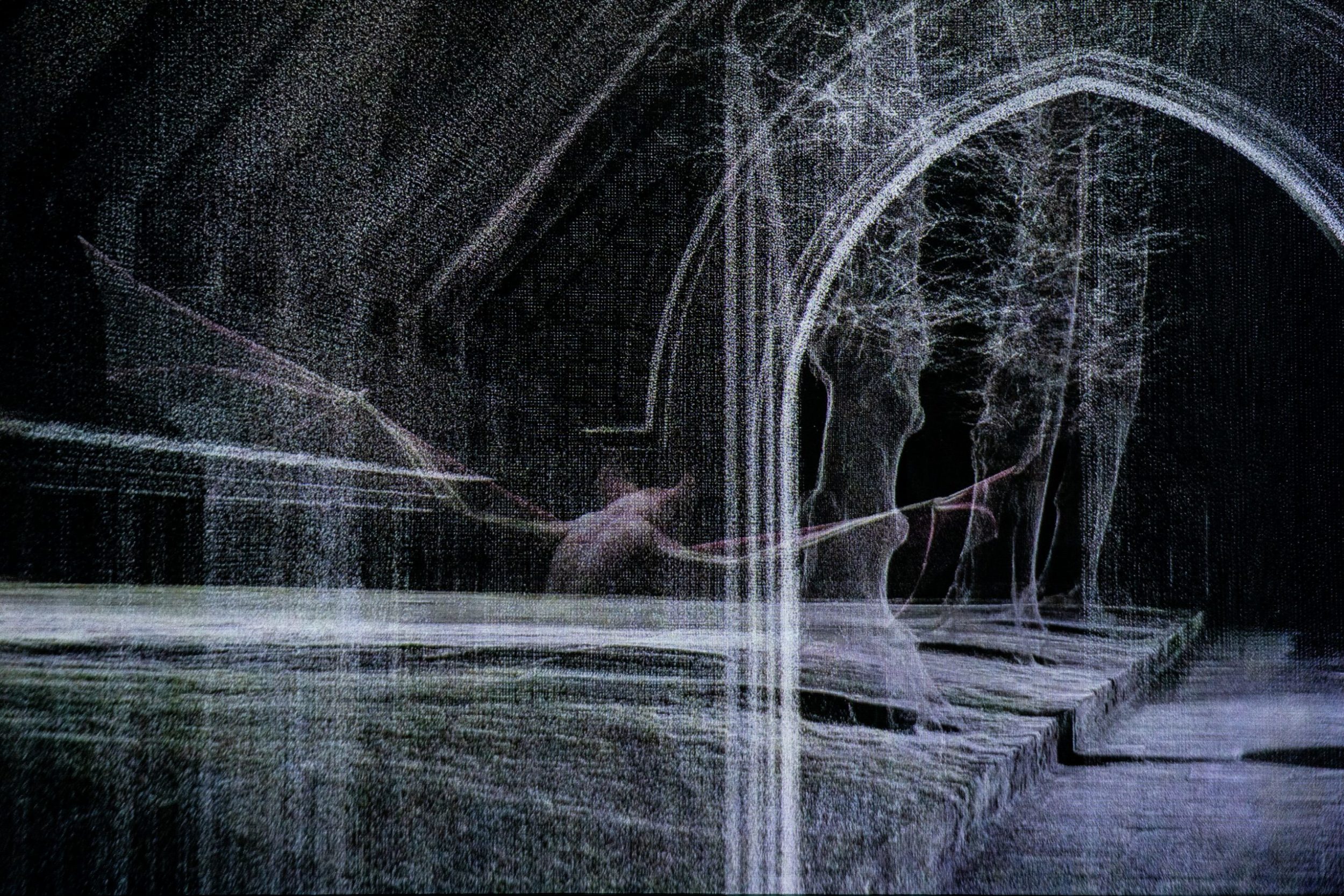 Echolocation · Mat Collishaw