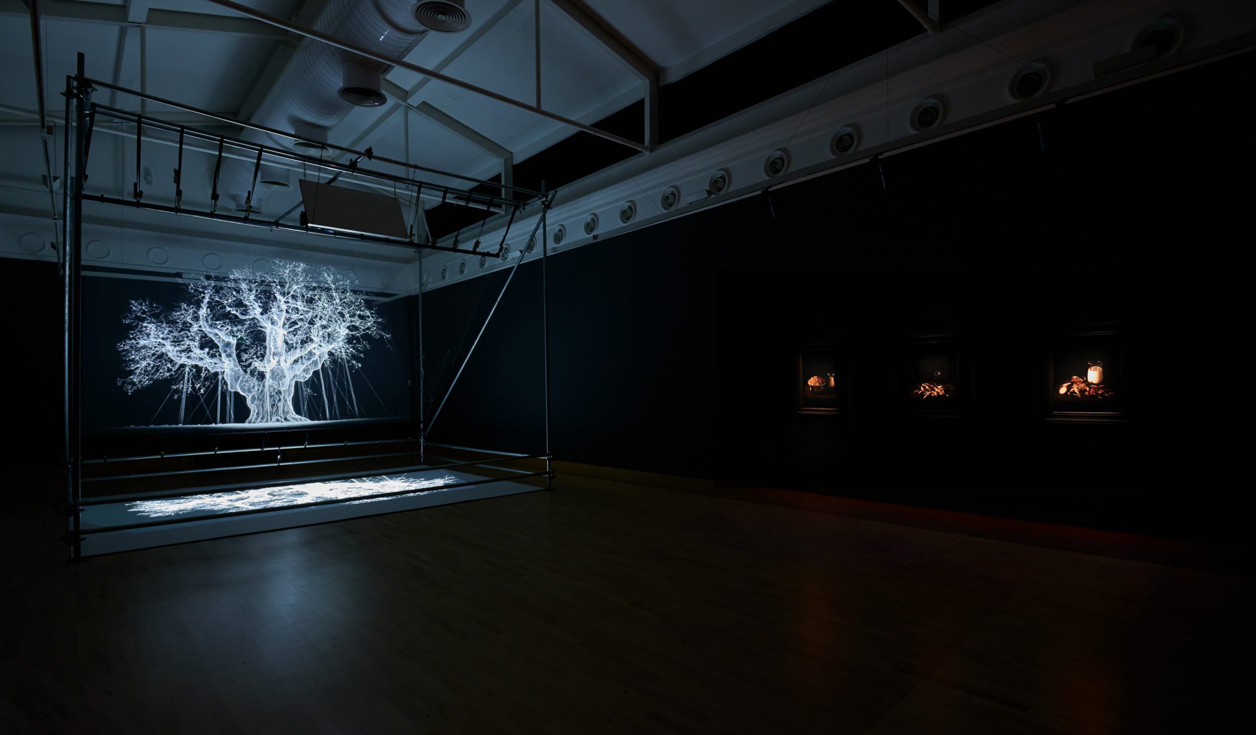 Mat Collishaw · Mat Collishaw