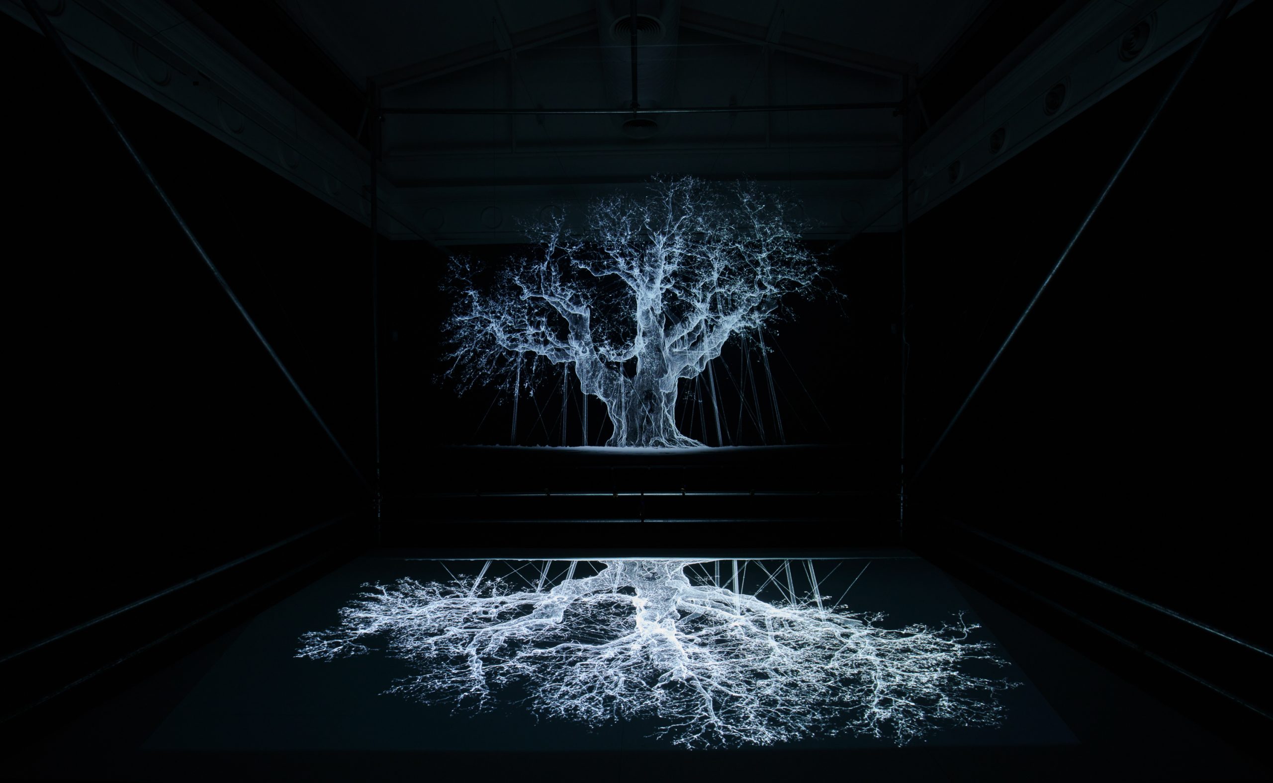 Mat Collishaw · Mat Collishaw