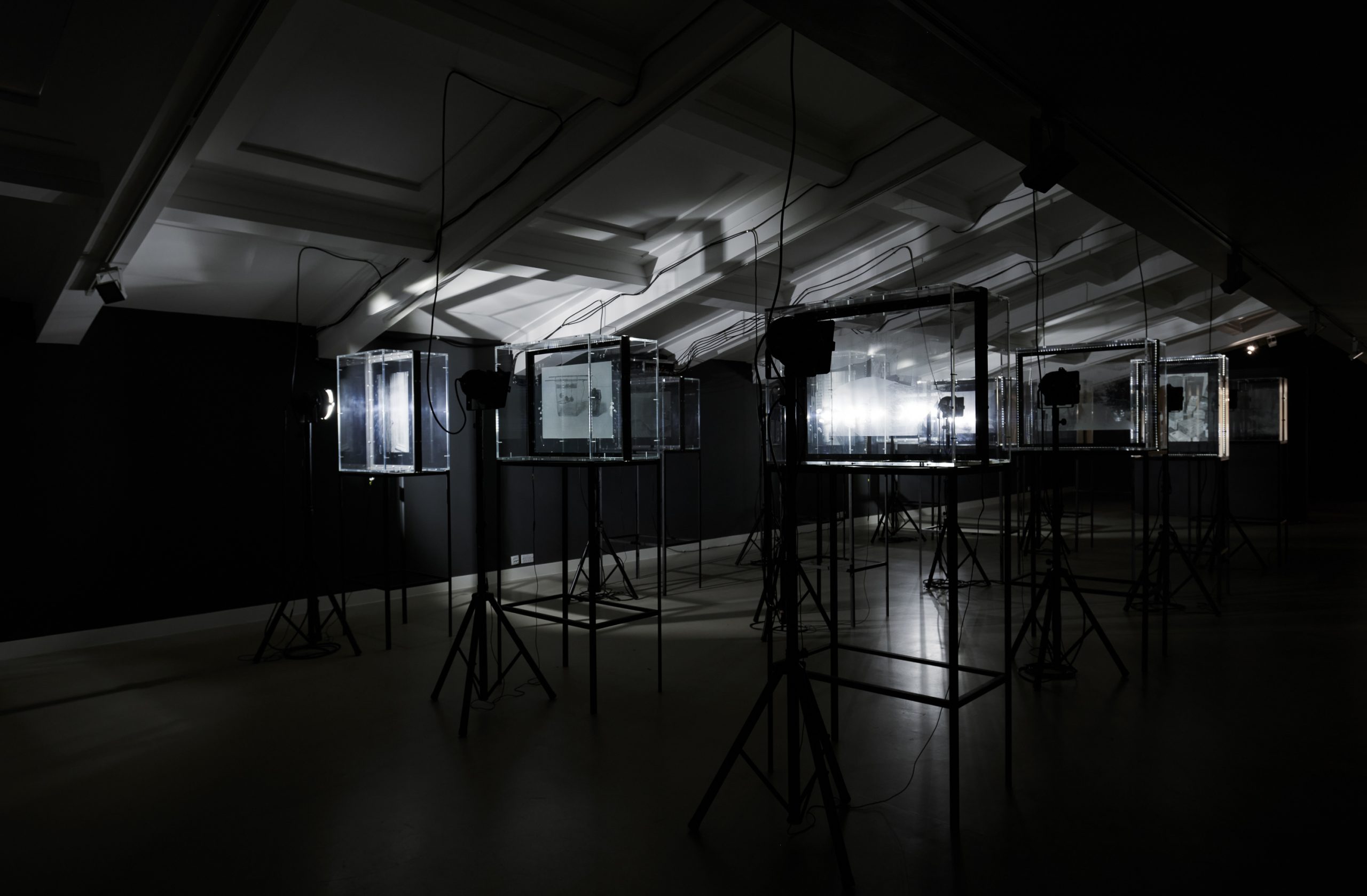 Mat Collishaw · Mat Collishaw