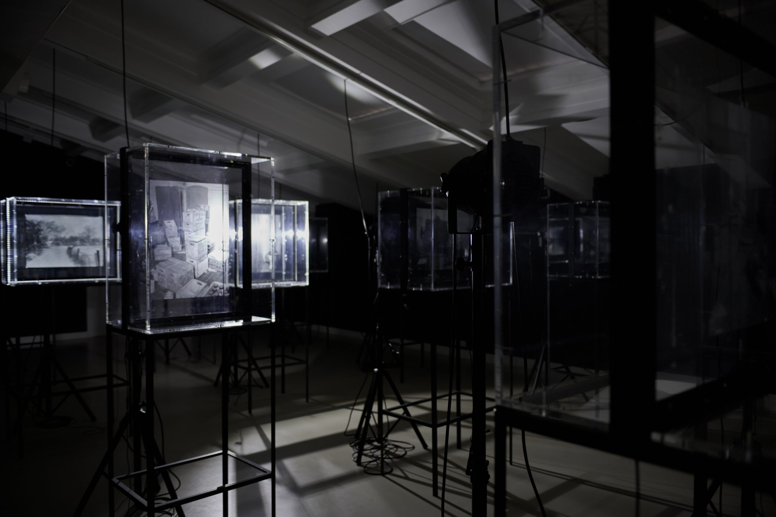 Mat Collishaw · Mat Collishaw