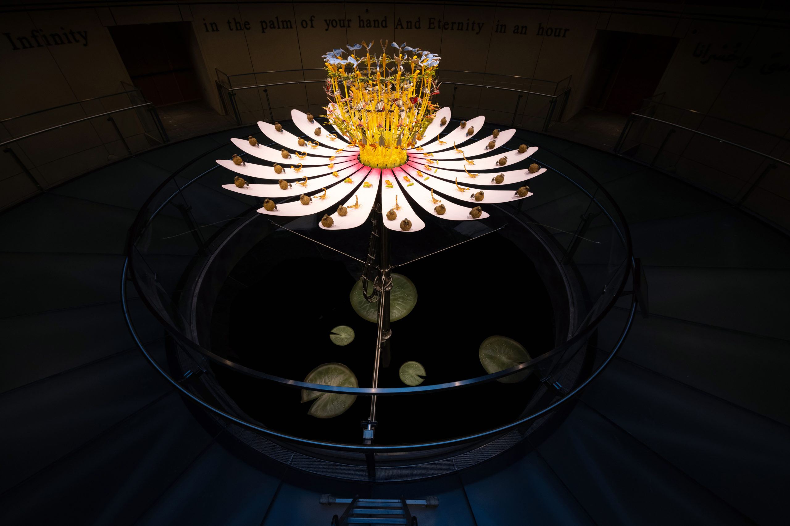 Equinox · Mat Collishaw