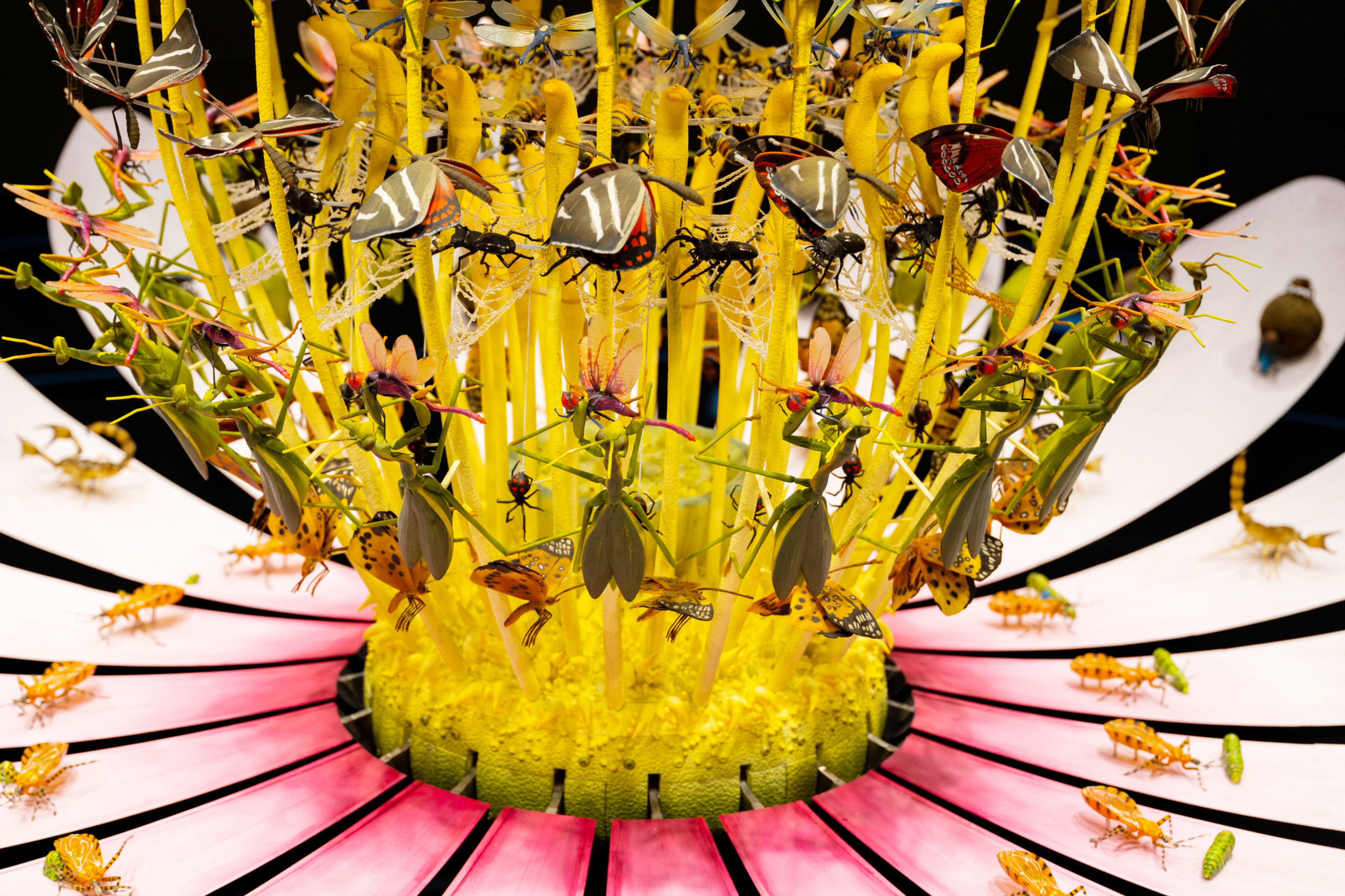 Equinox · Mat Collishaw