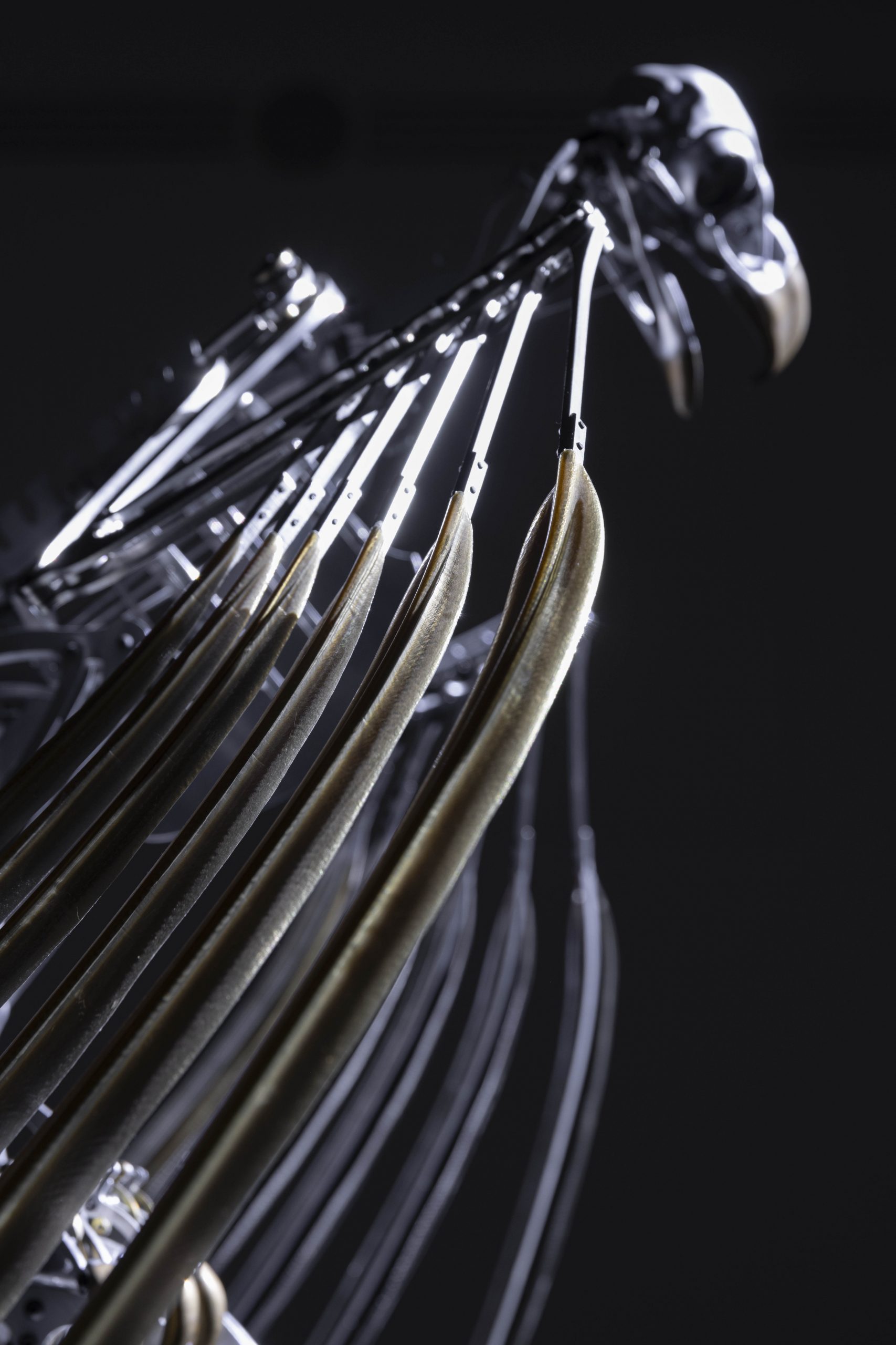 The Machine Zone · Mat Collishaw