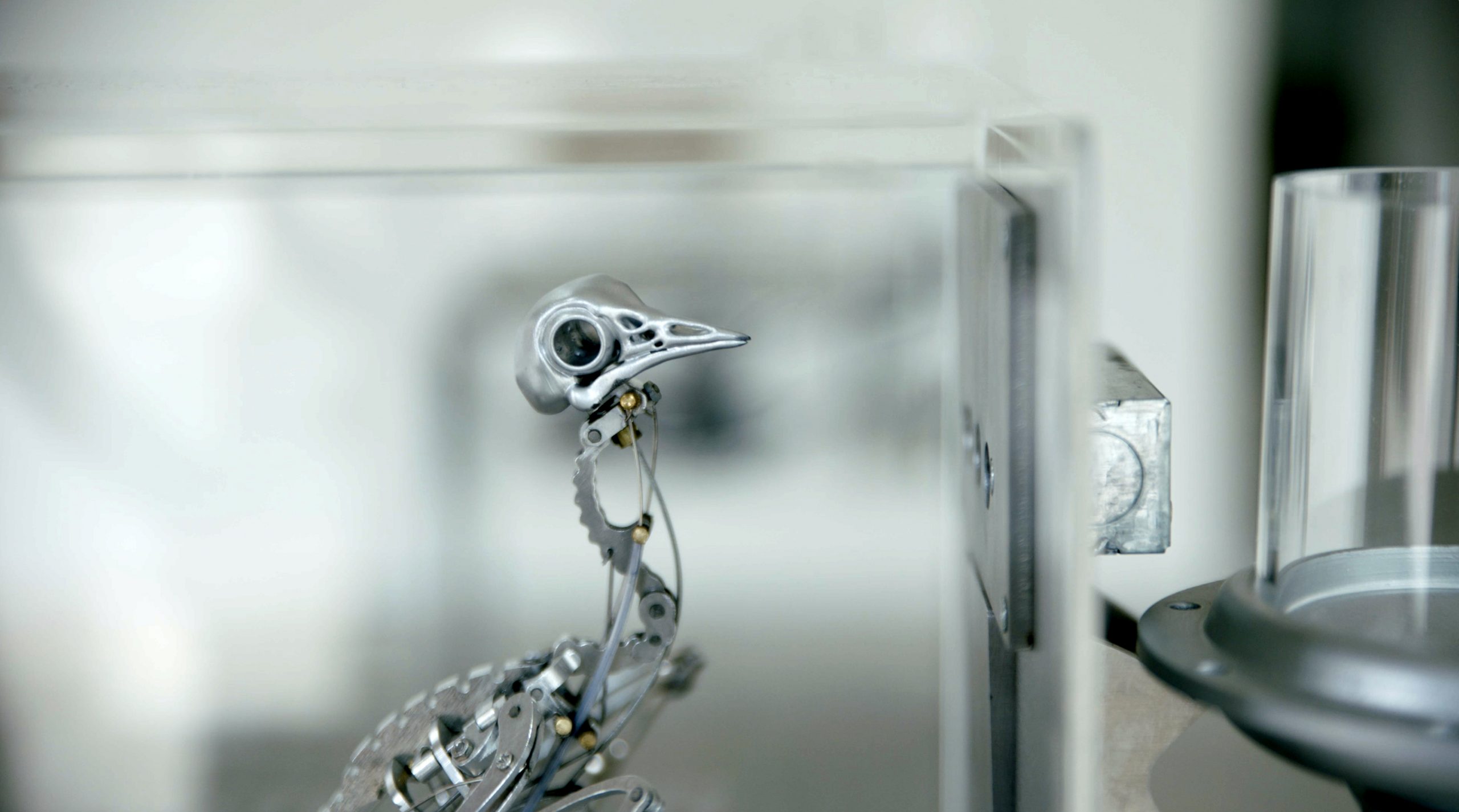 All Things Fall · Mat Collishaw