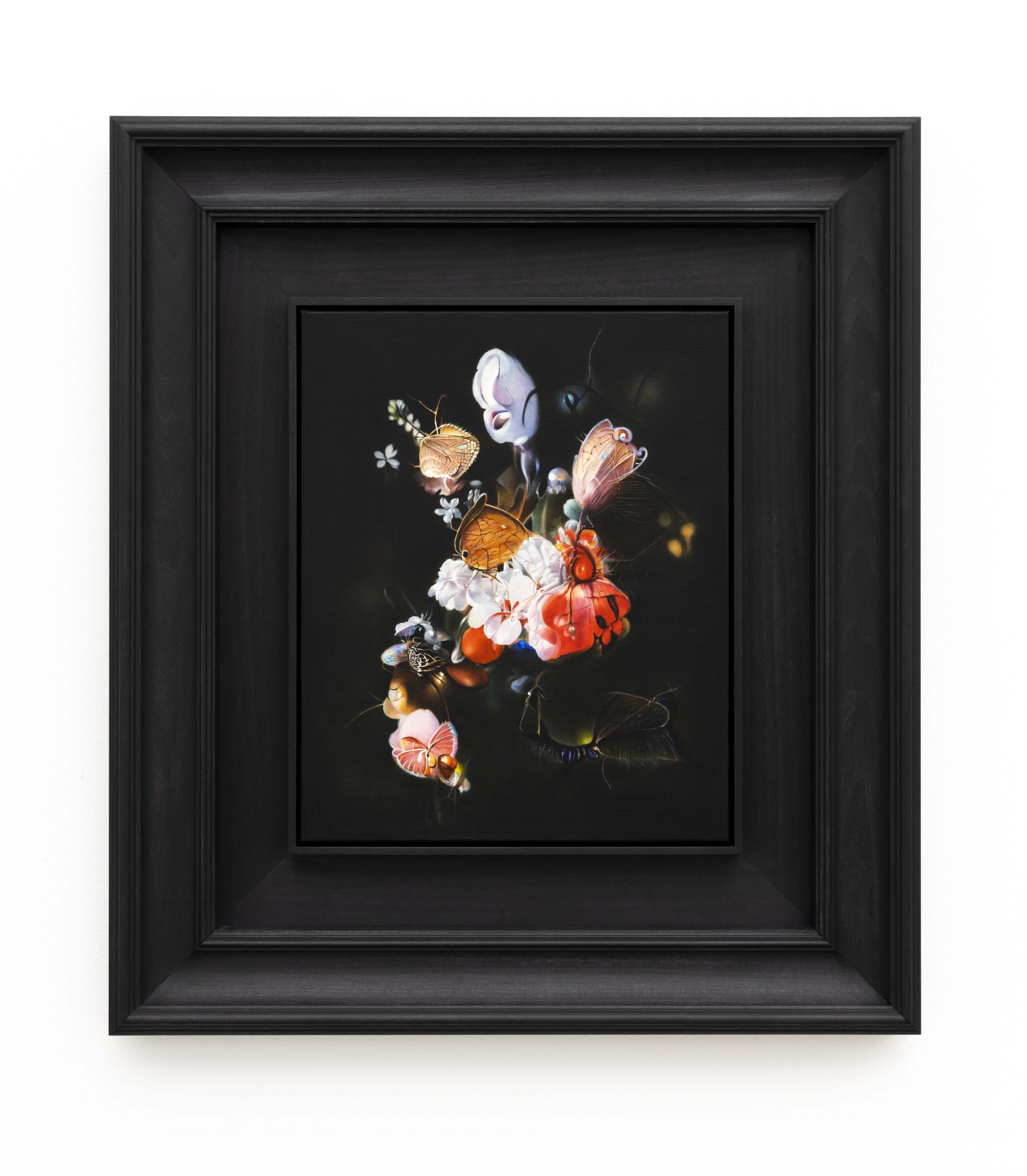 Alluvion · Mat Collishaw