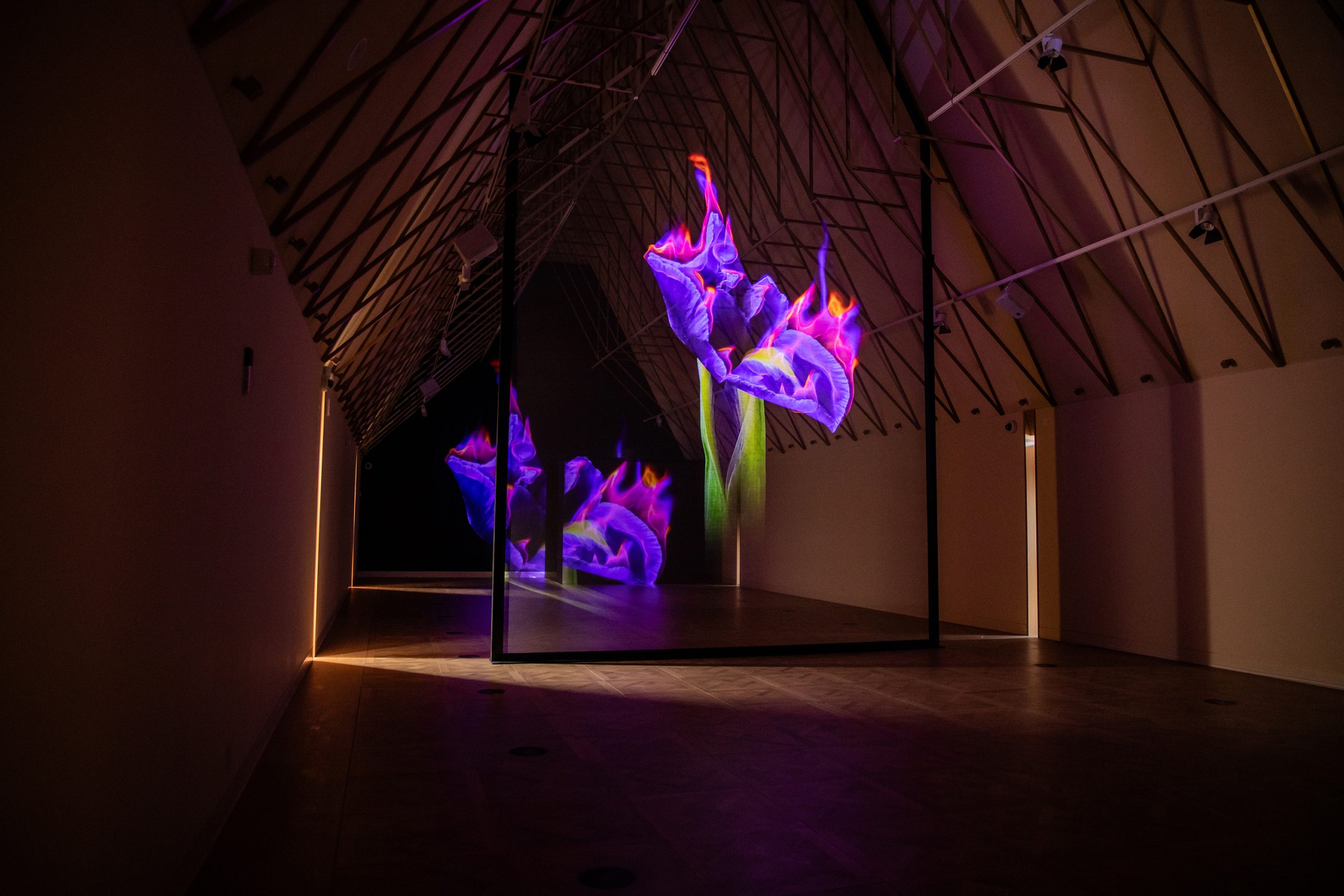 Eidolon · Mat Collishaw