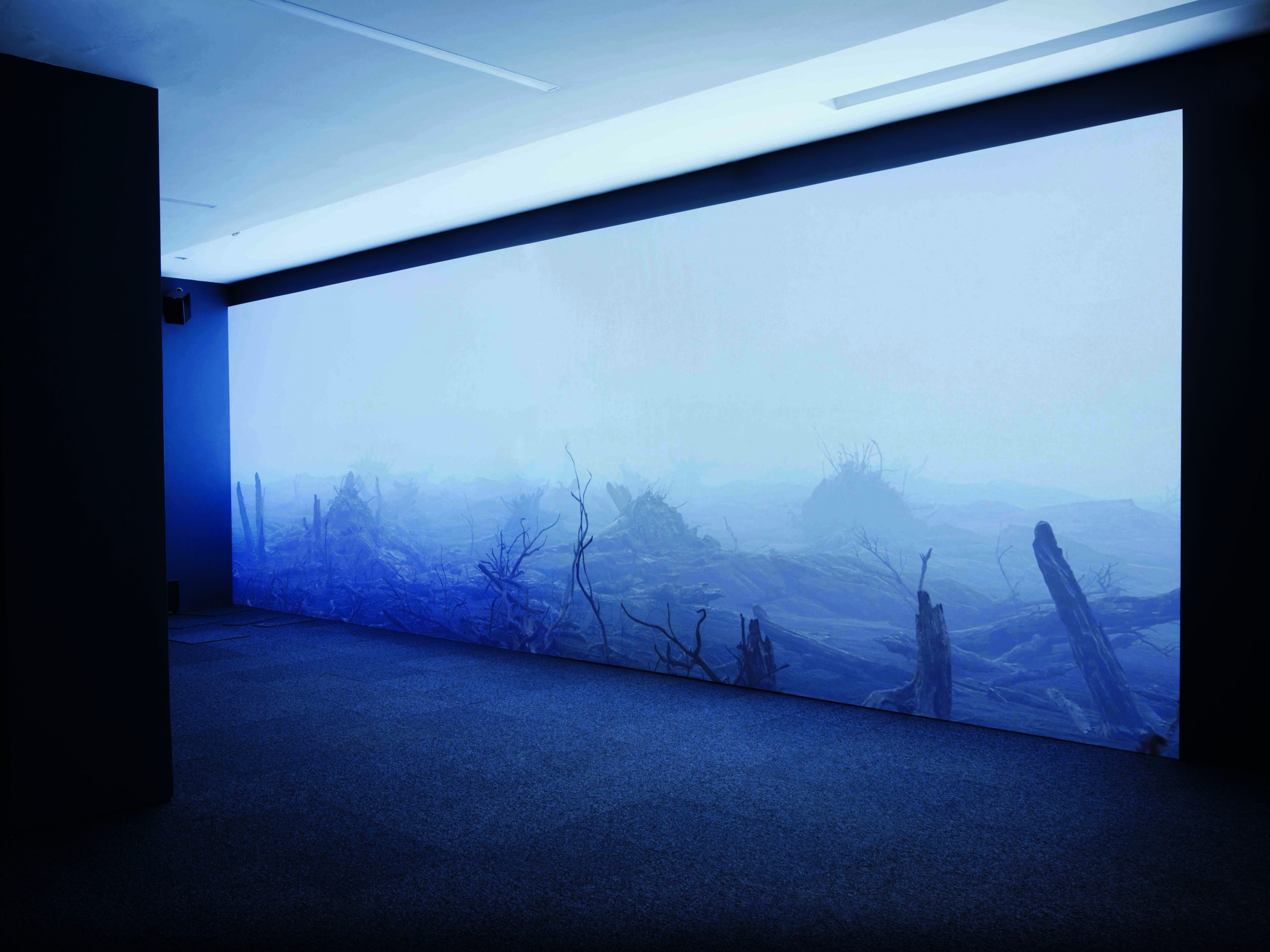 Arrhythmia · Mat Collishaw