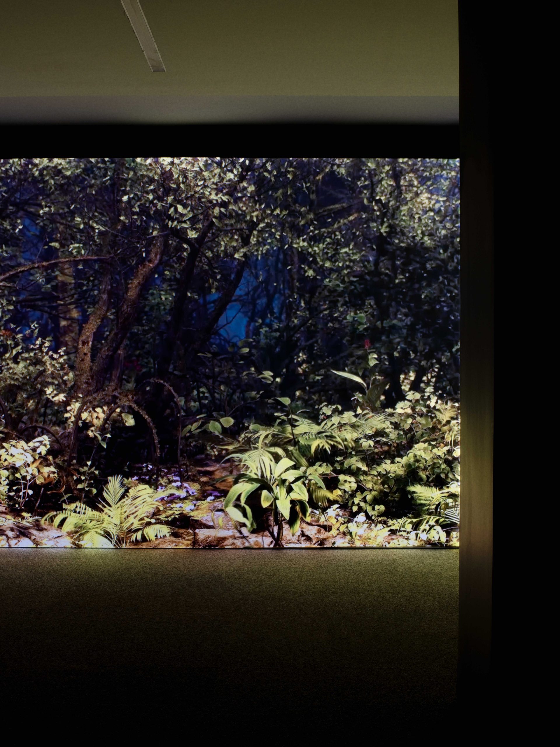 Arrhythmia · Mat Collishaw