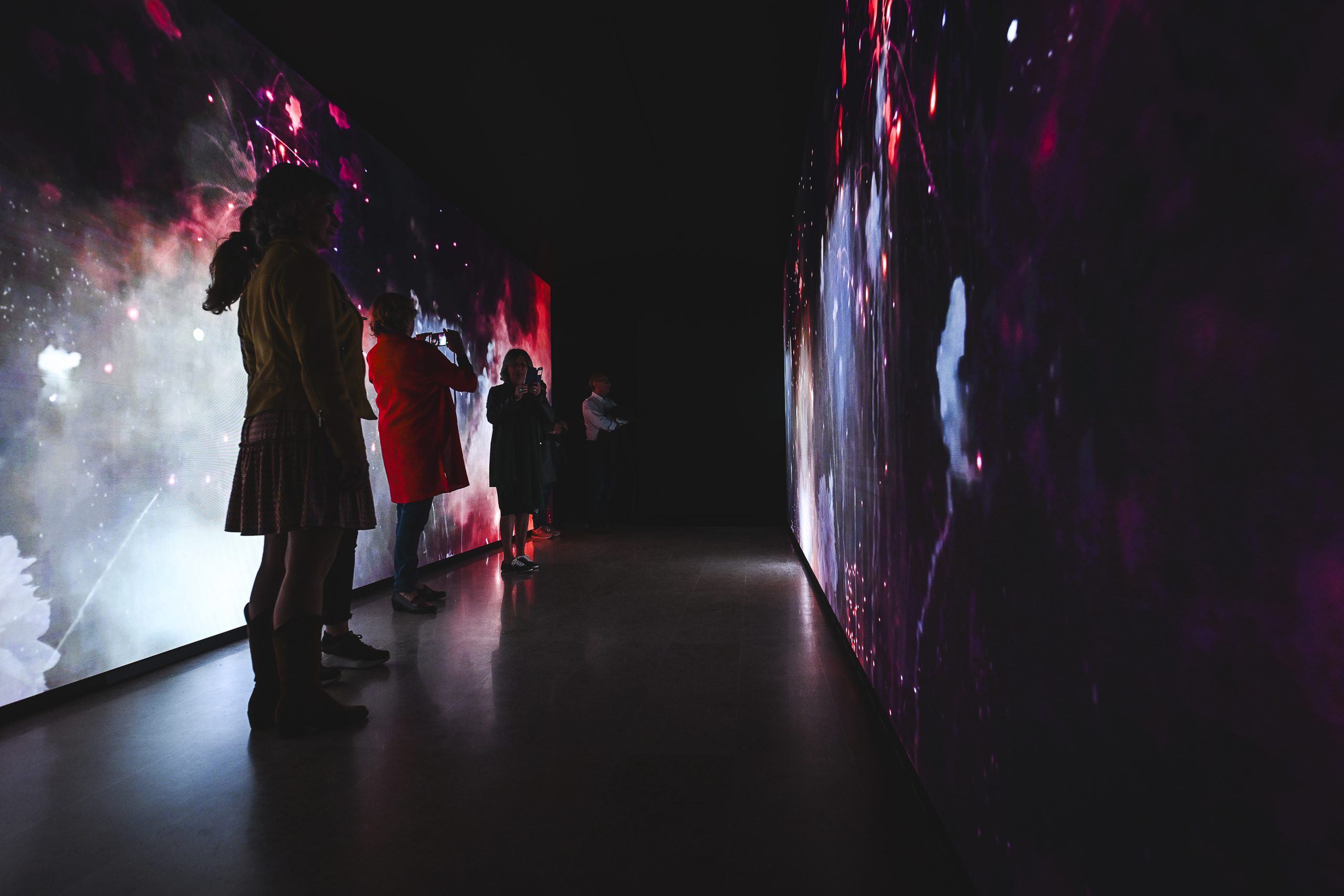 Transformer · Mat Collishaw