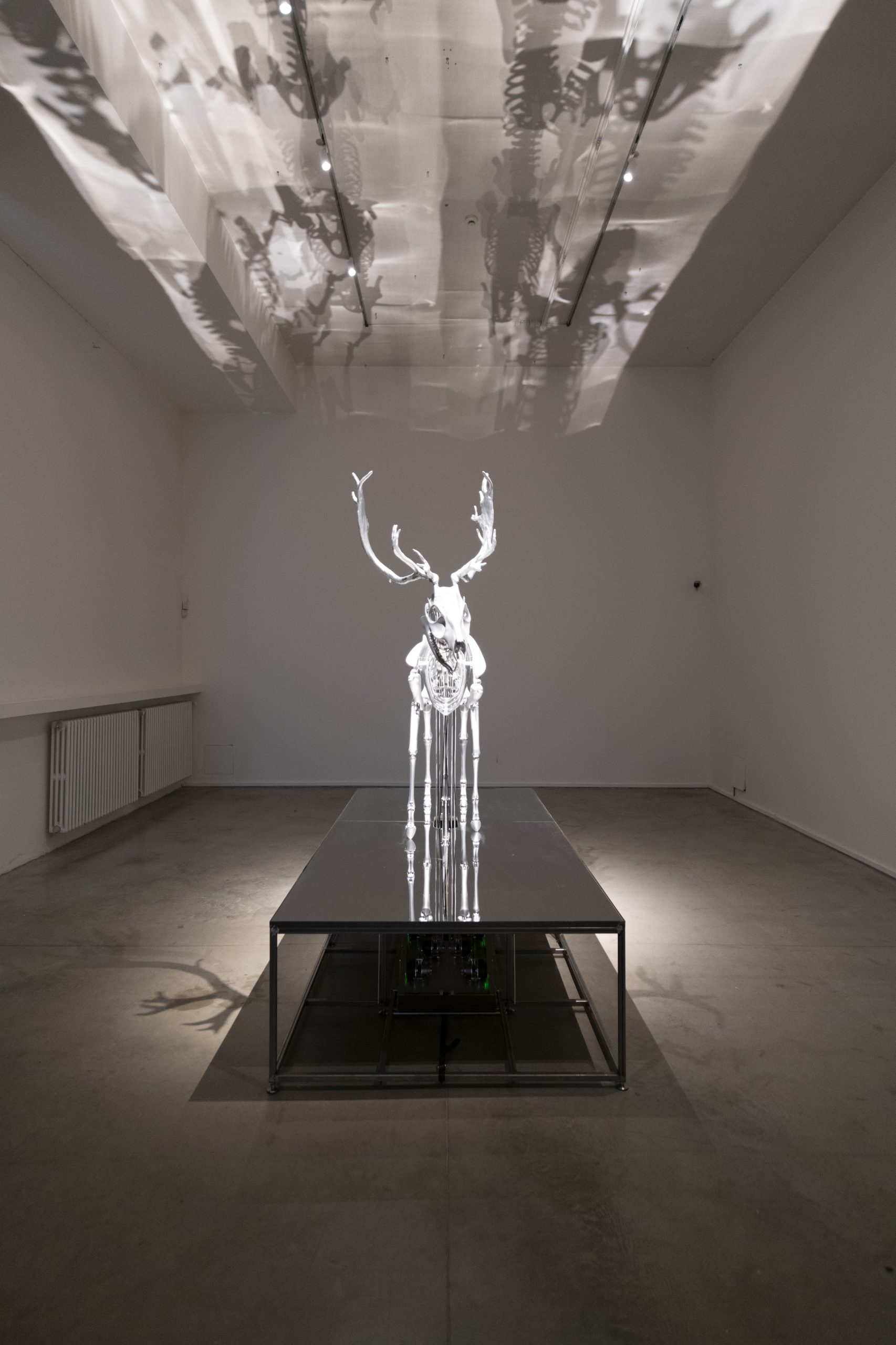 KAFKAesque · Mat Collishaw